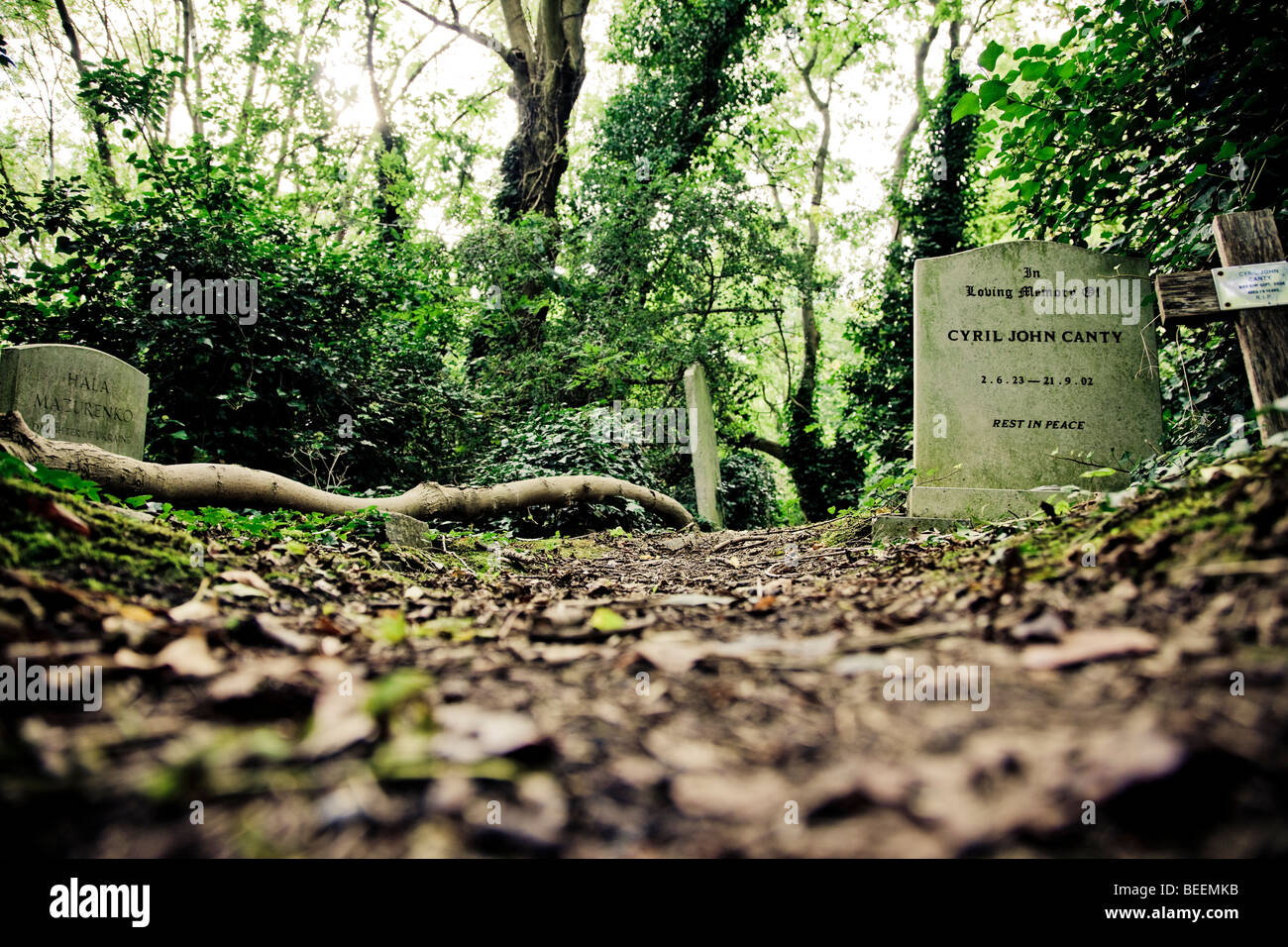 North london cemetery hi-res stock photography and images - Alamy