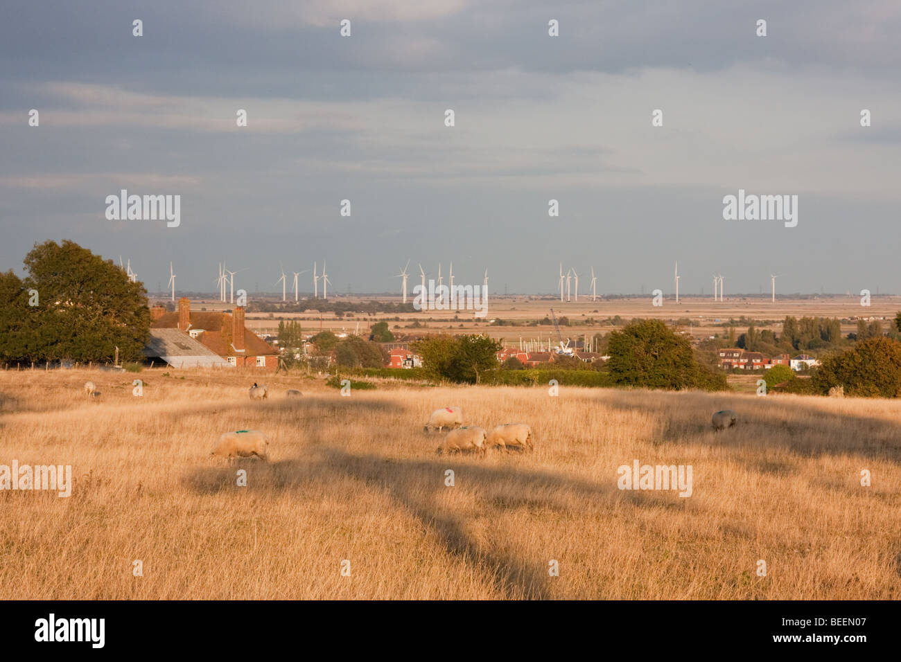Long sunset autumn shadows across hi-res stock photography and images ...