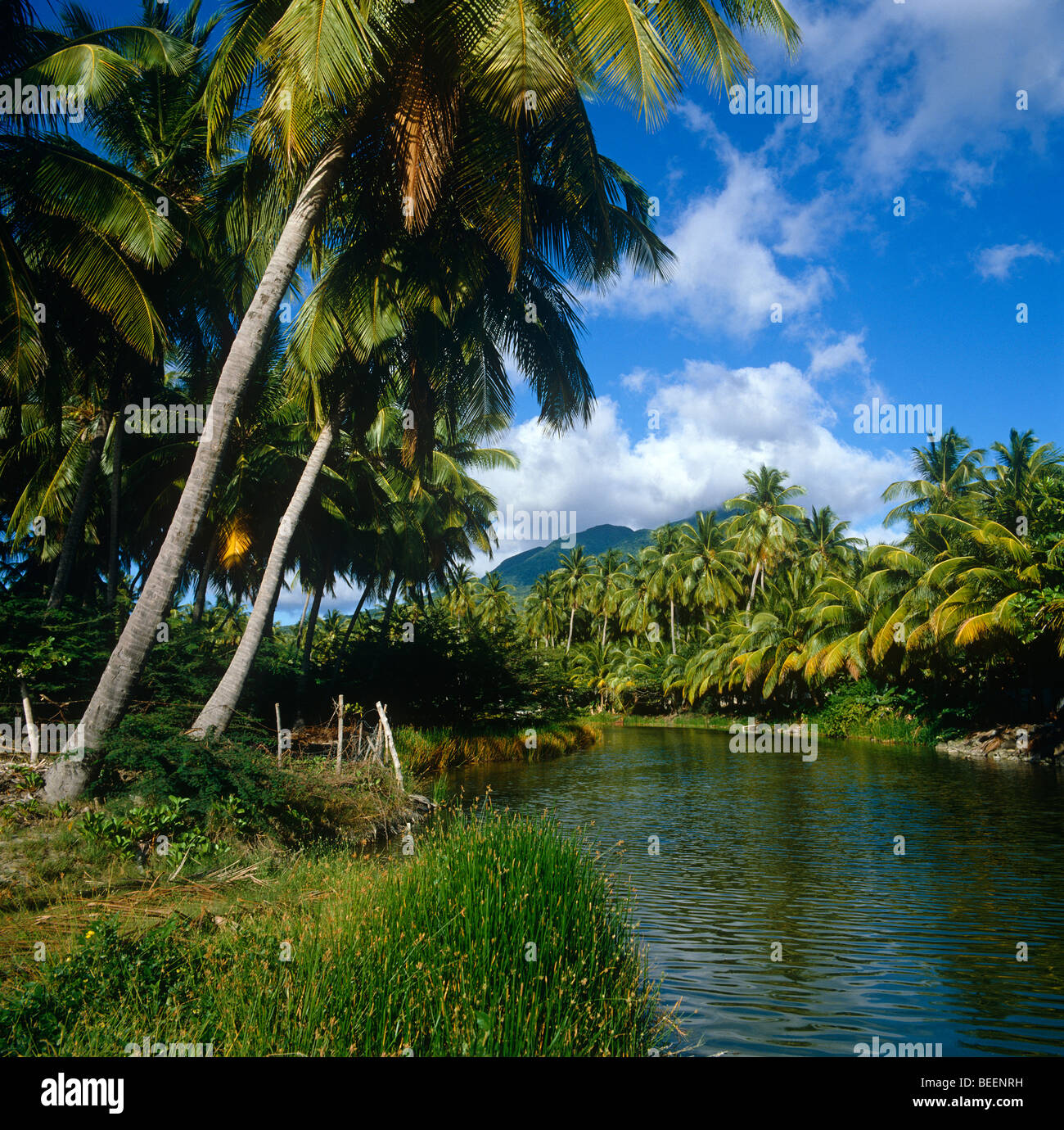 Island of nevis hi-res stock photography and images - Alamy