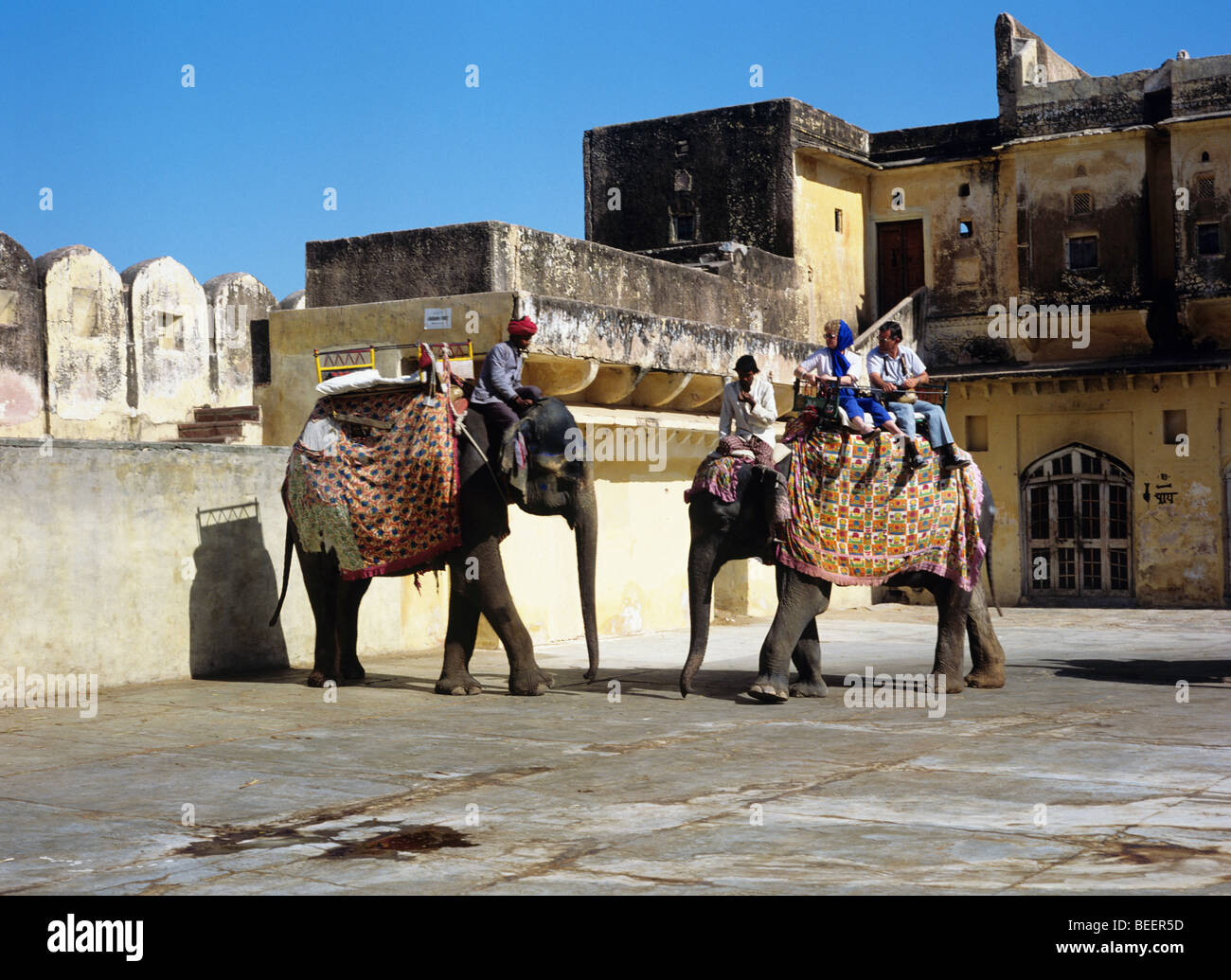 Tourist elephant rides at the Amber Fort near the city of Jaipur Stock ...