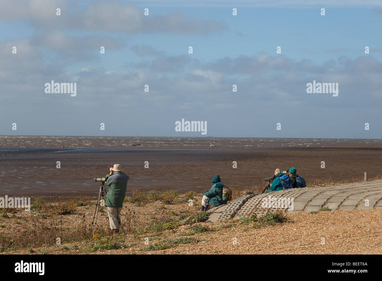 Bird Watching The Wash norfolk Stock Photo - Alamy