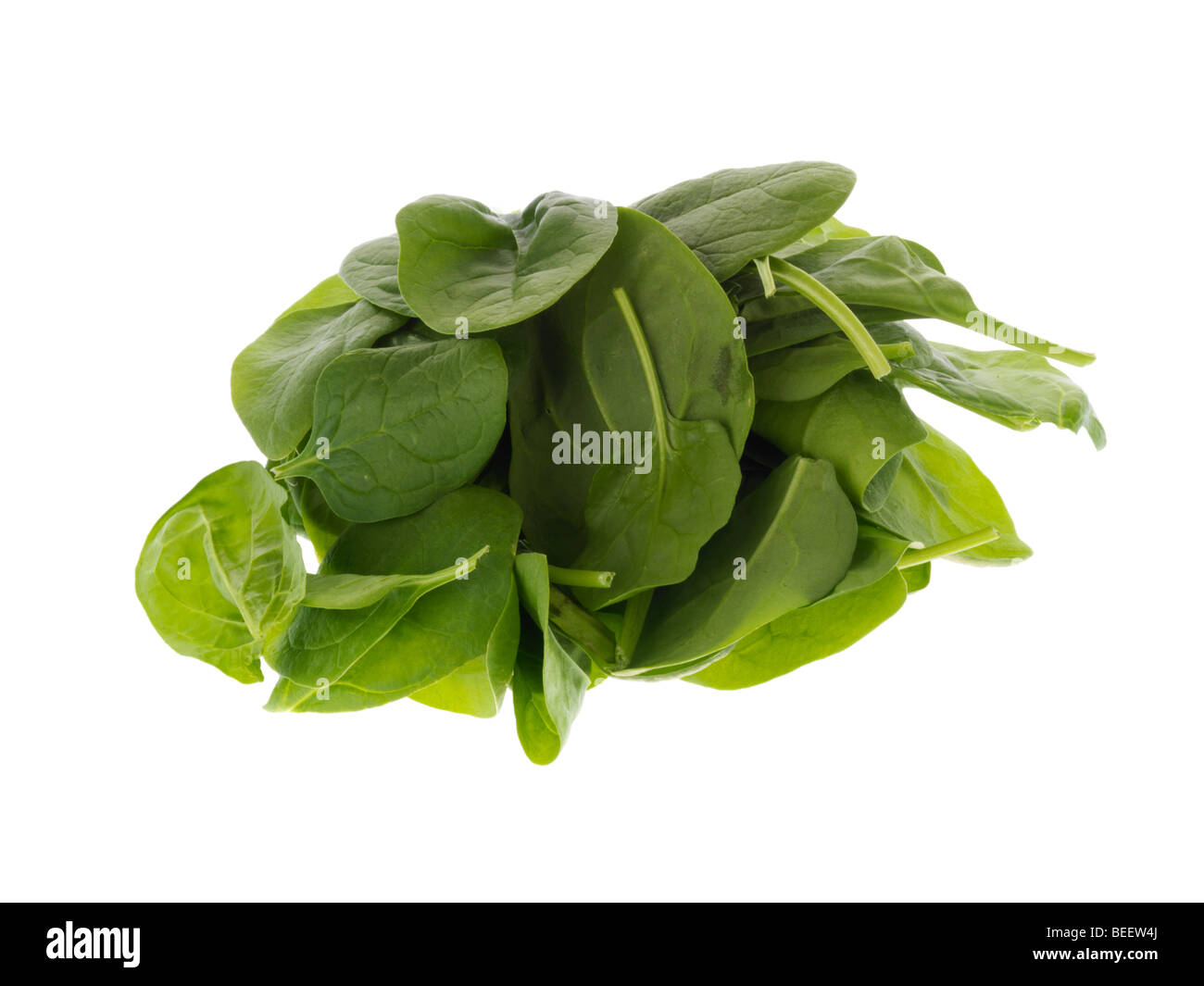 Spinach hi-res stock photography and images - Alamy