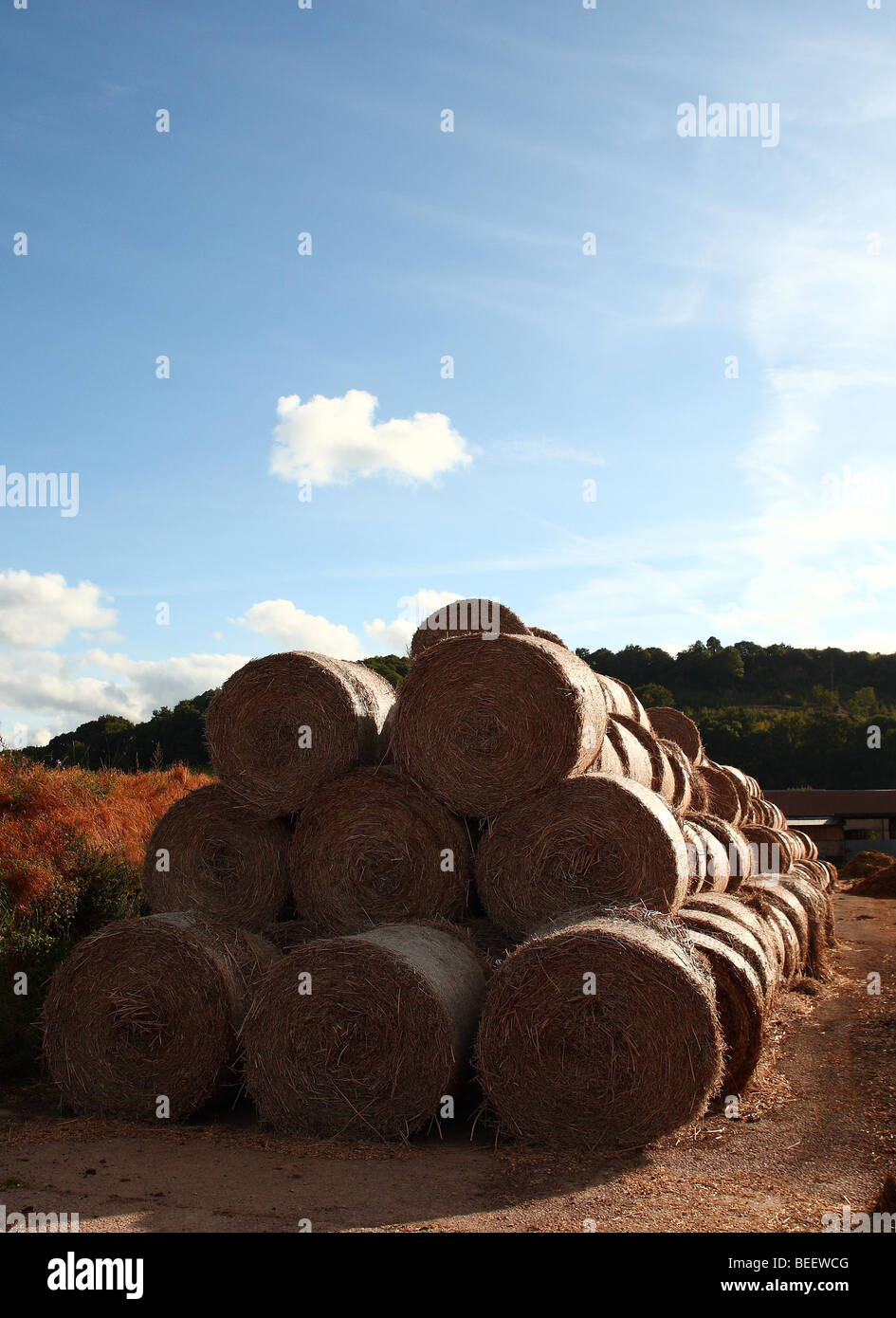 Hey bails hi-res stock photography and images - Alamy