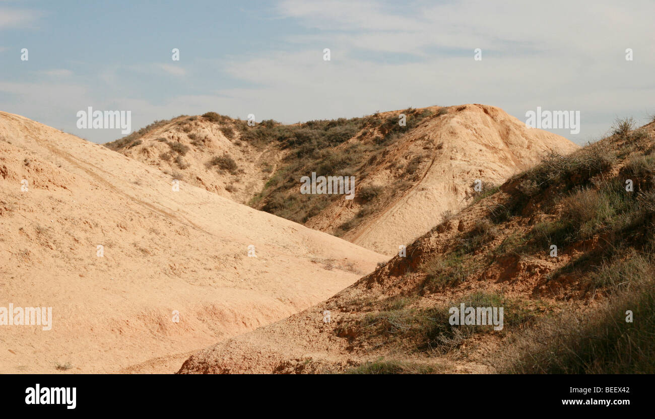 Israel, Negev plains, Nitzana a sand dune Stock Photo - Alamy