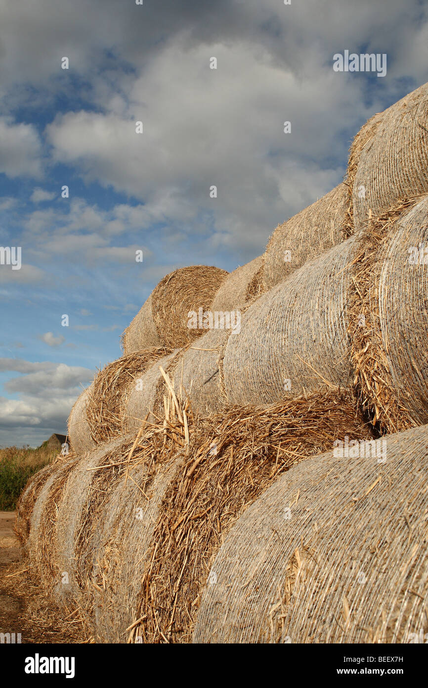 Hey bails hi-res stock photography and images - Alamy