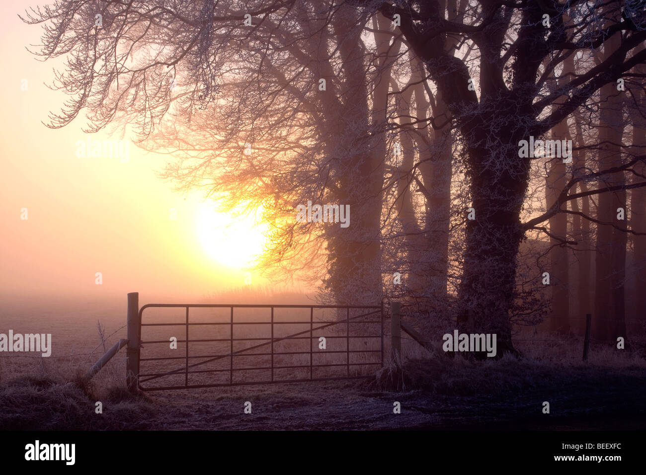 Seen through a gate hi-res stock photography and images - Alamy