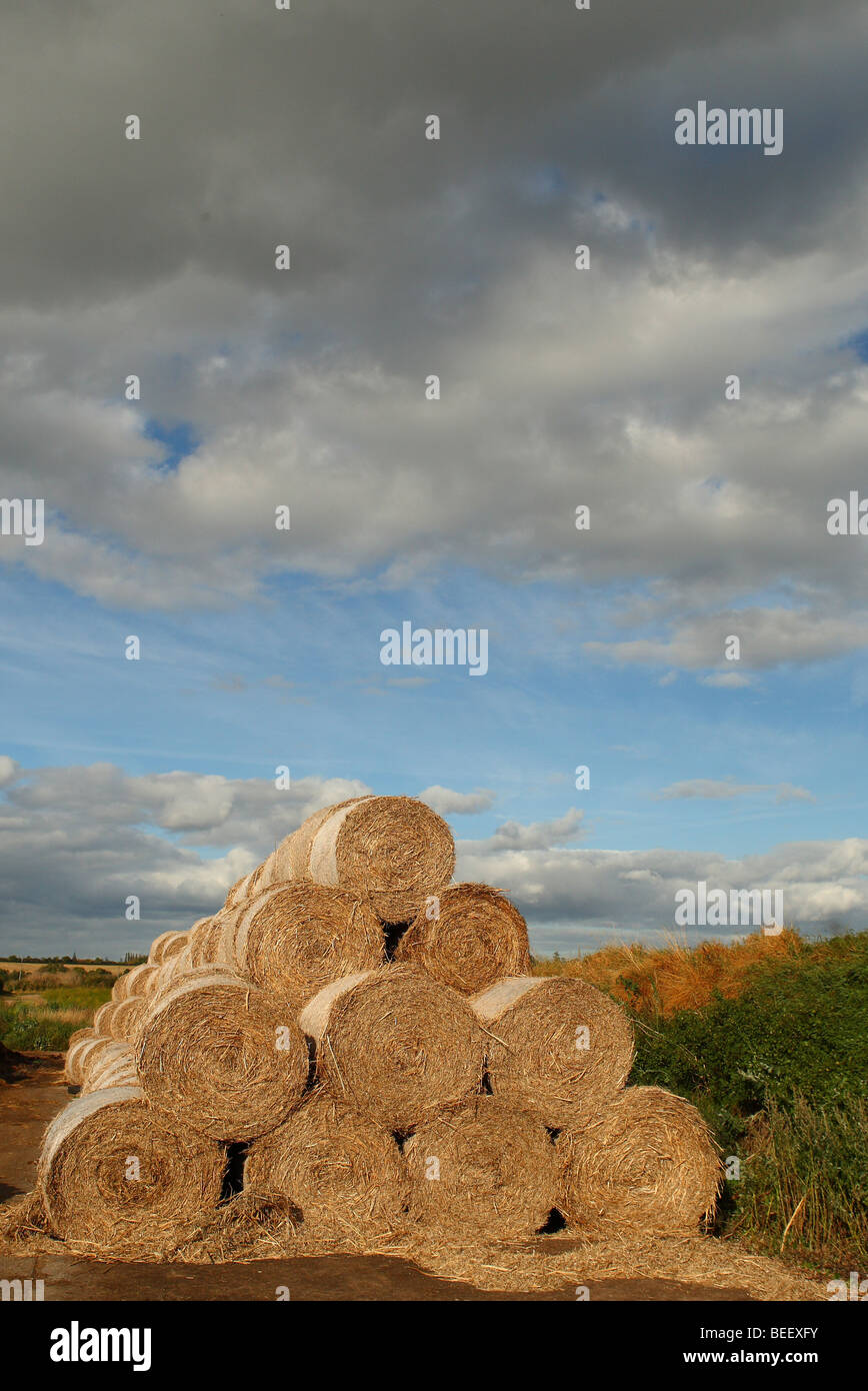Pyramid of hey bails Stock Photo - Alamy