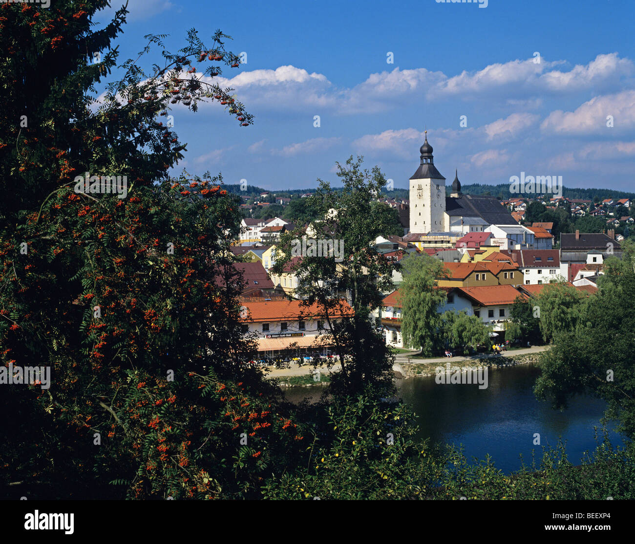 Vavarian forest hi-res stock photography and images - Alamy
