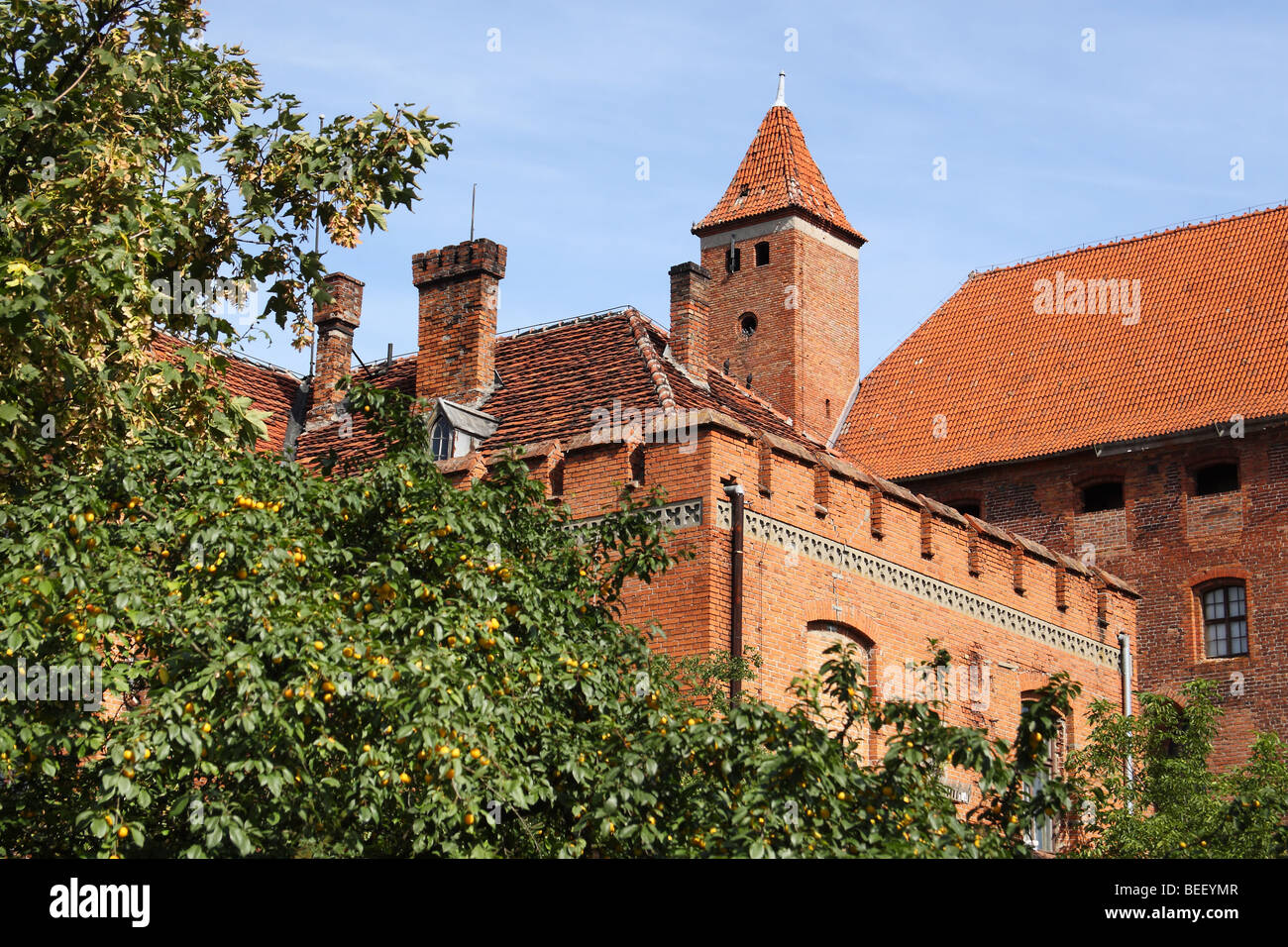 Teutonic Castle in Gniew , Poland Stock Photo - Alamy