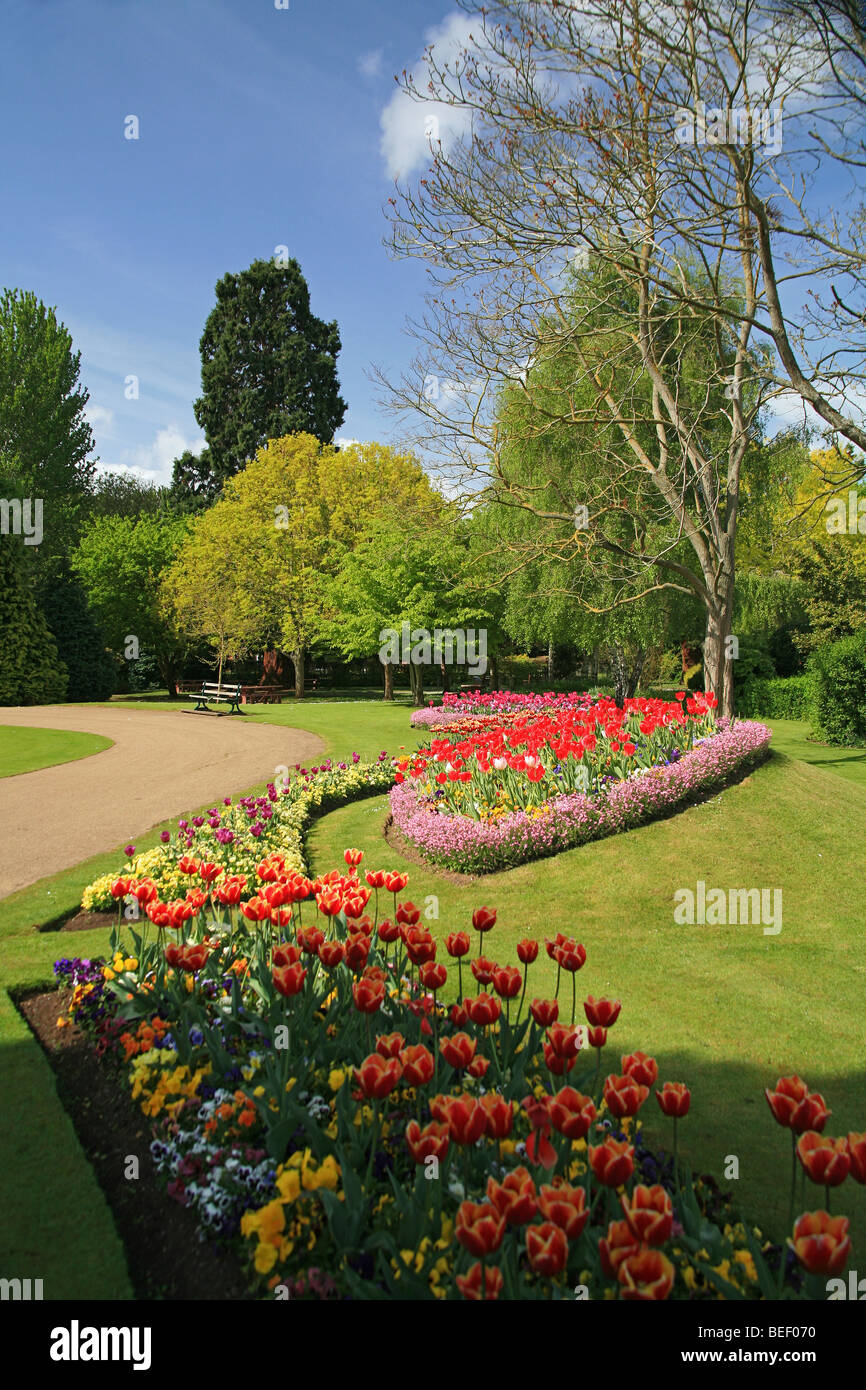 Spring bedding display in Vivary Park, Taunton, Somerset, England, UK ...