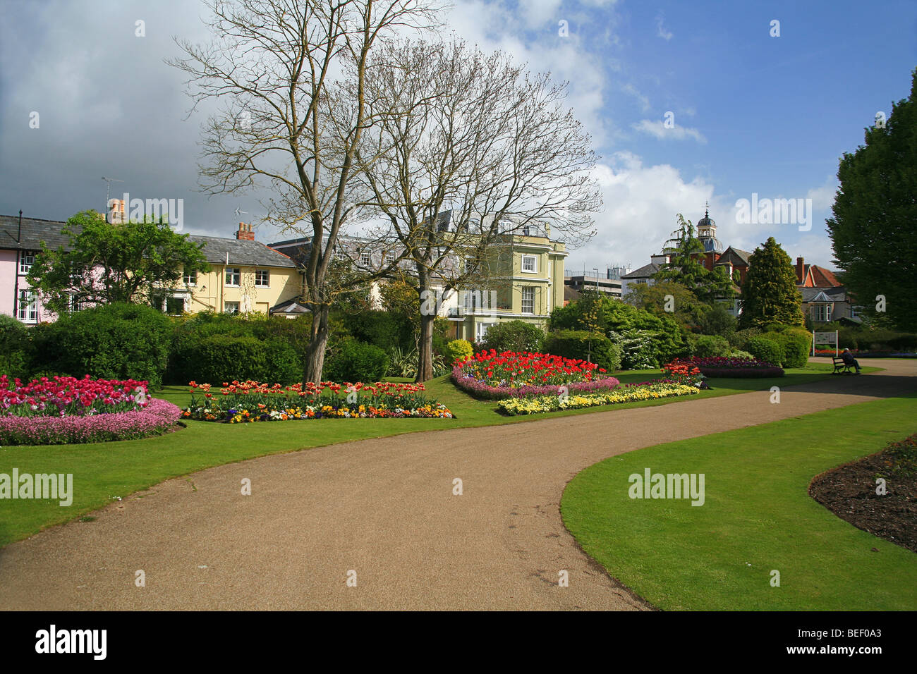 Spring bedding display in Vivary Park, Taunton, Somerset, England, UK ...