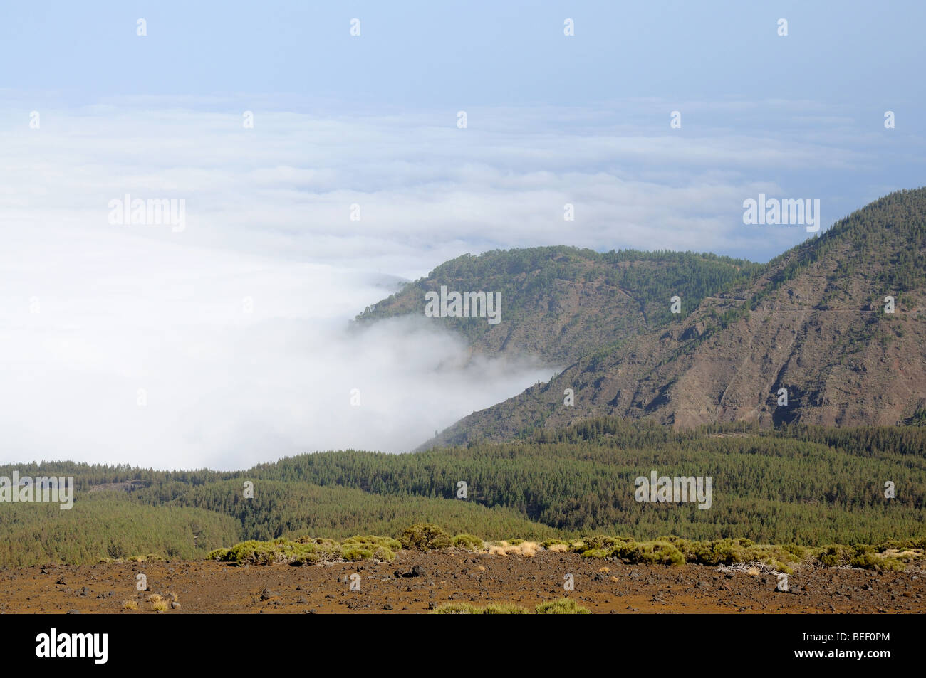 Tenerife canary islands landscape hi-res stock photography and images ...