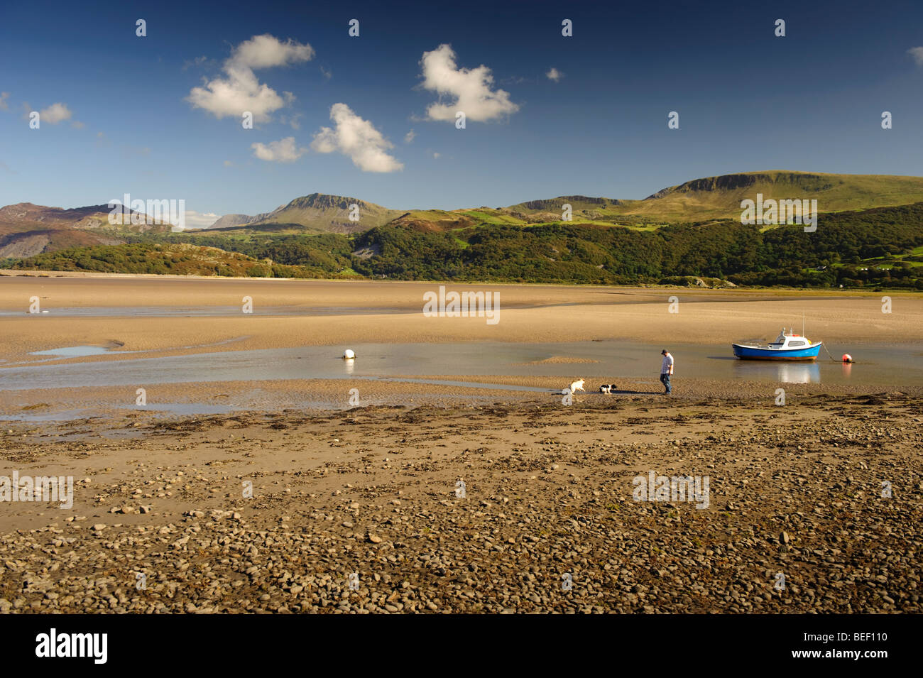Mawddach Estuary Wales Stock Photos & Mawddach Estuary Wales Stock ...