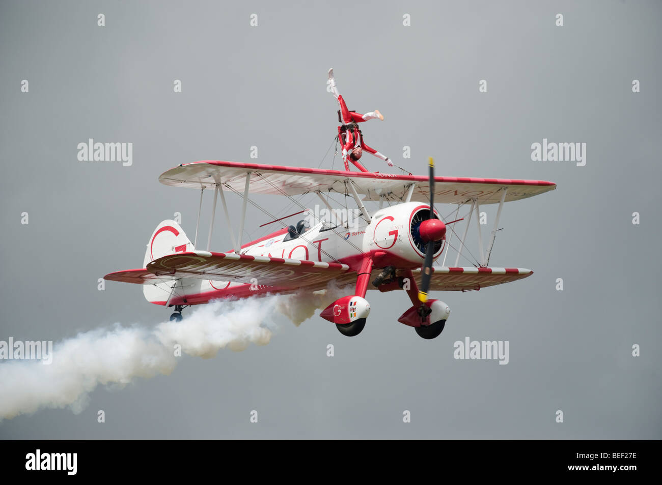 Female_wing hi-res stock photography and images - Alamy