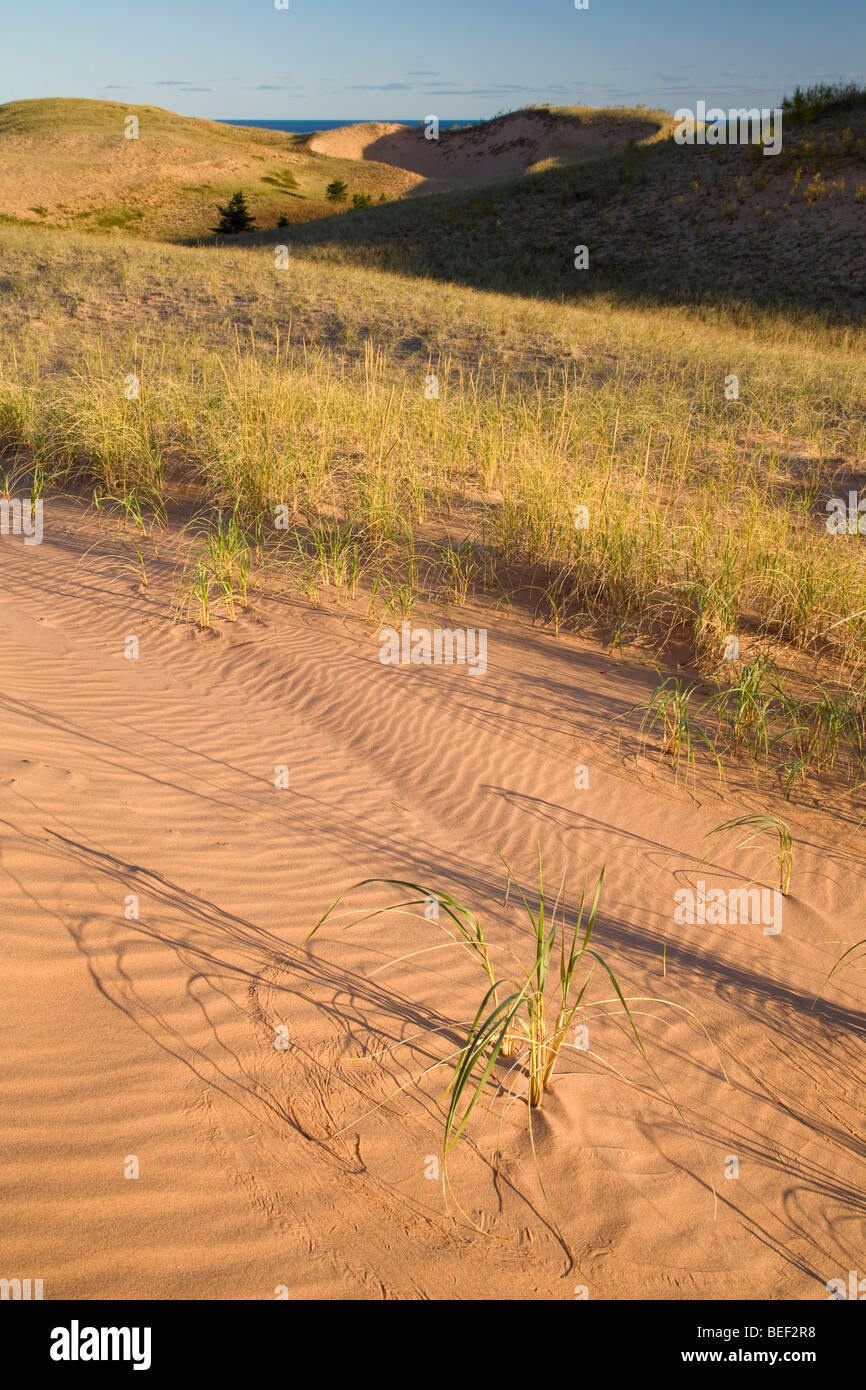 Grand Sable Dunes, Pictured Rocks National Lakes Shore, Michigan Stock ...