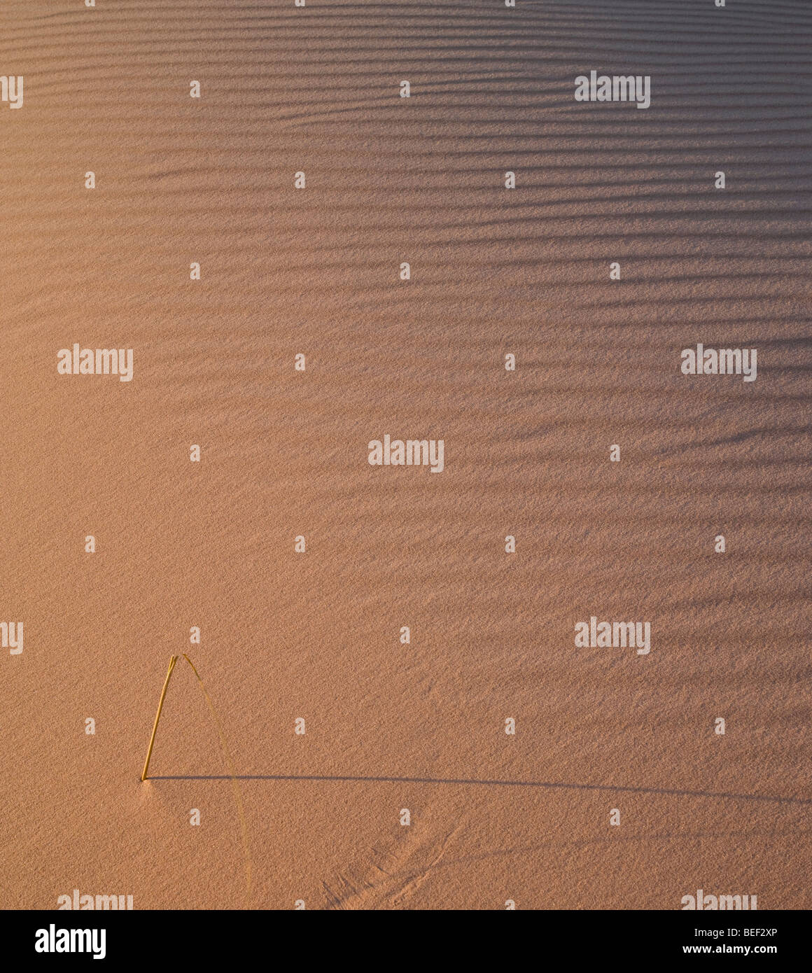 Grand Sable Dunes, Pictured Rocks National Lakes Shore, Michigan Stock ...