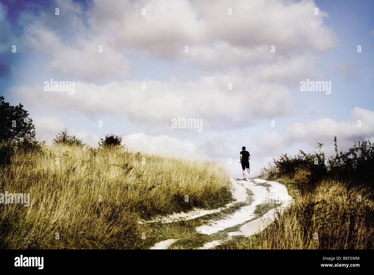 man running on a pathway through fields Stock Photo - Alamy