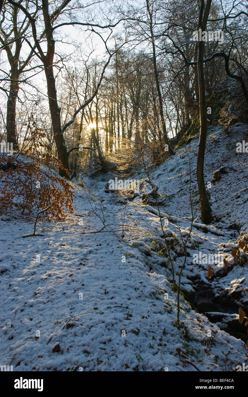 Snow scene in Ribble Valley Stock Photo - Alamy