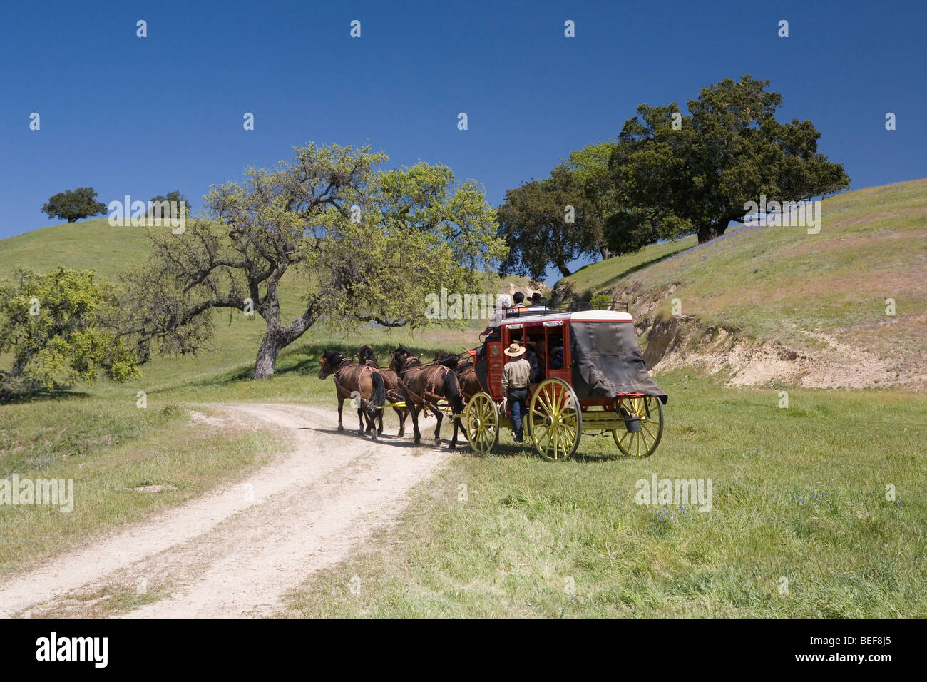 Stagecoach in California Stock Photo - Alamy
