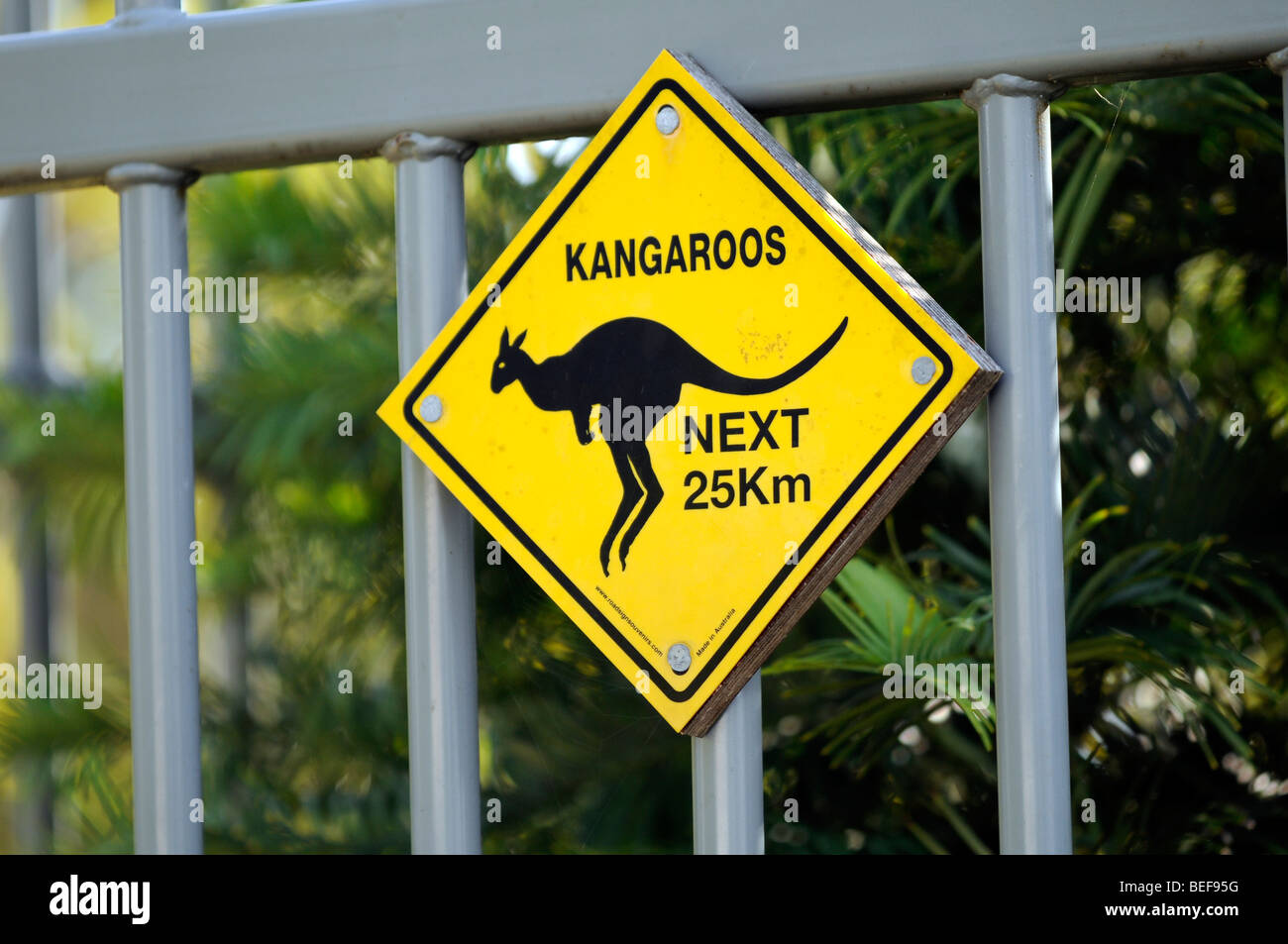 Beware Kangaroo sign on fence Stock Photo - Alamy