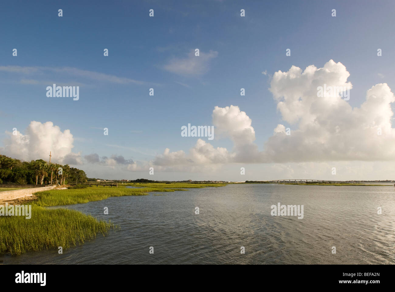 Salt marsh st augustine florida hi-res stock photography and images - Alamy