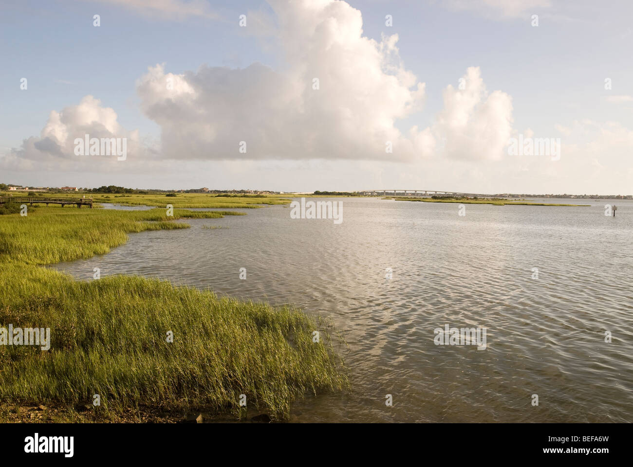 St augustine salt marsh hi-res stock photography and images - Alamy