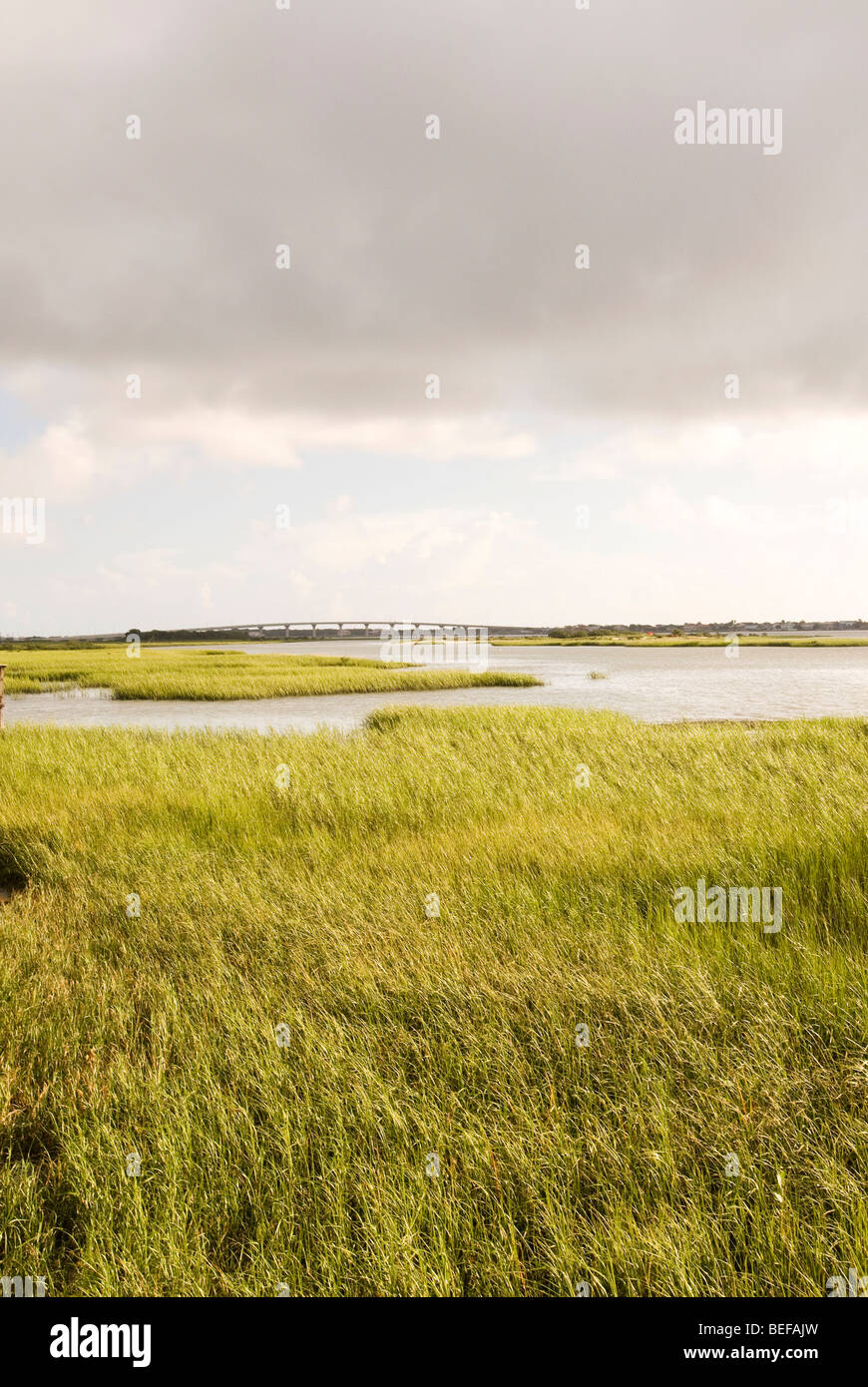 Salt marsh st augustine florida hi-res stock photography and images - Alamy