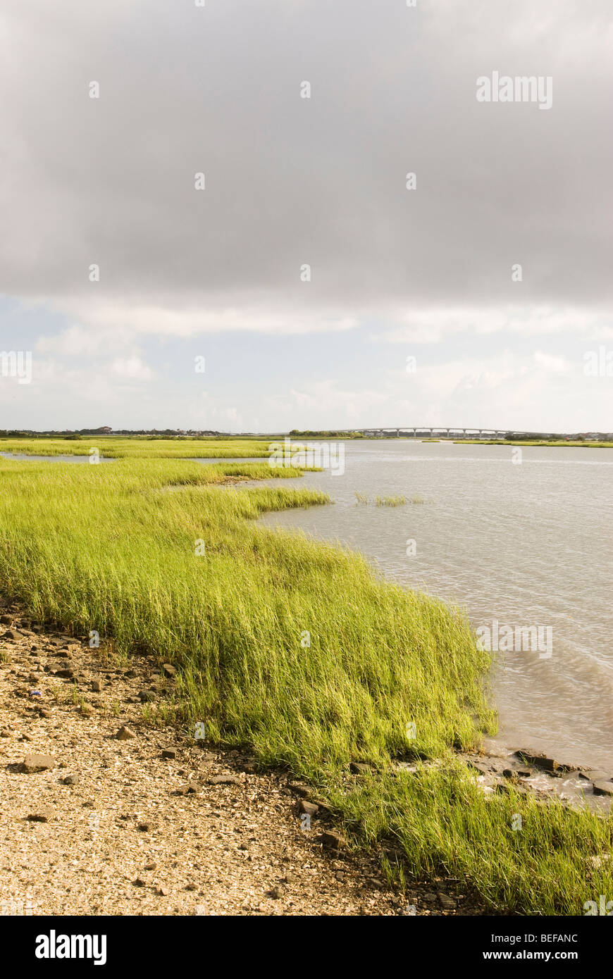Florida salt marsh hi-res stock photography and images - Alamy