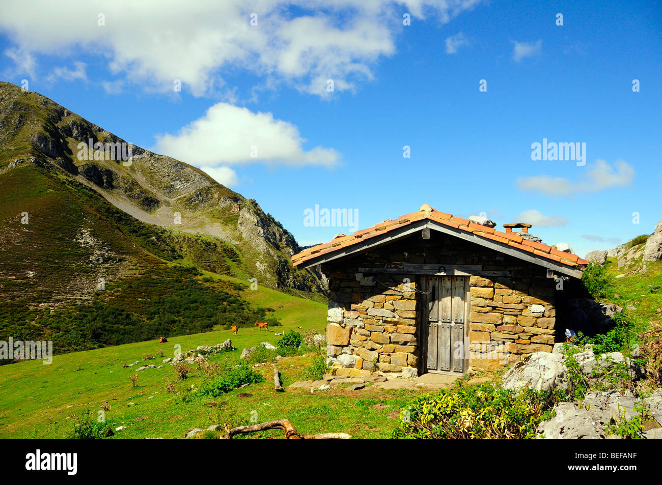 Natural park of redes hi-res stock photography and images - Alamy