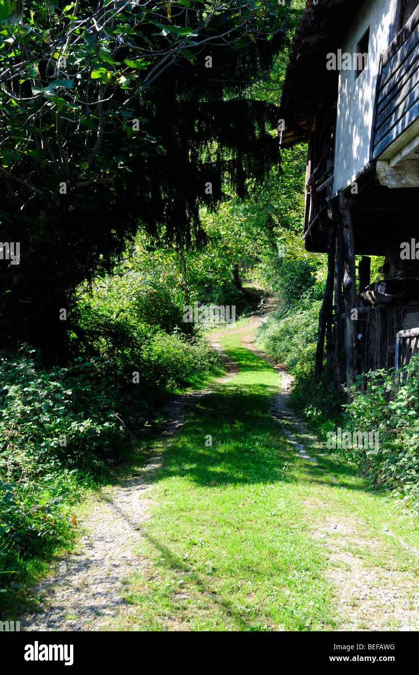 House and path in the forest Stock Photo - Alamy