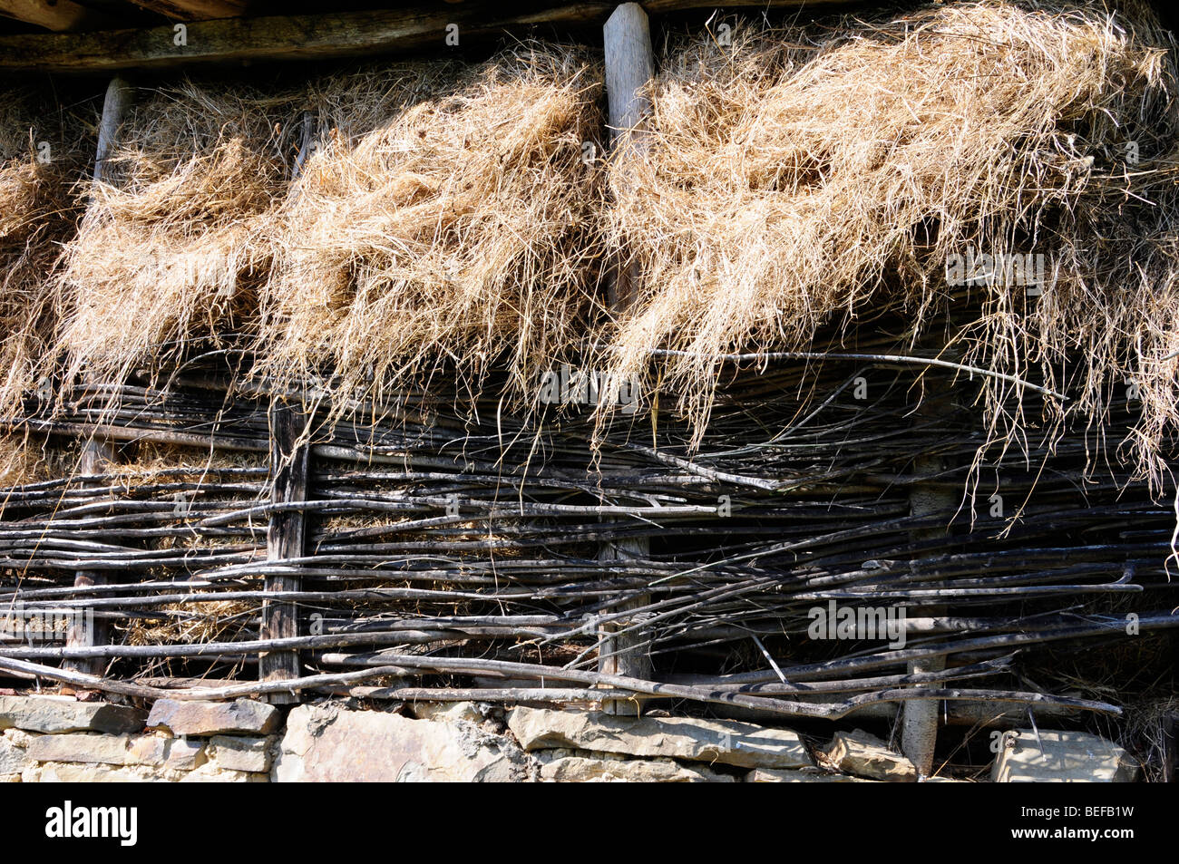 Hay drying in the barn Stock Photo - Alamy