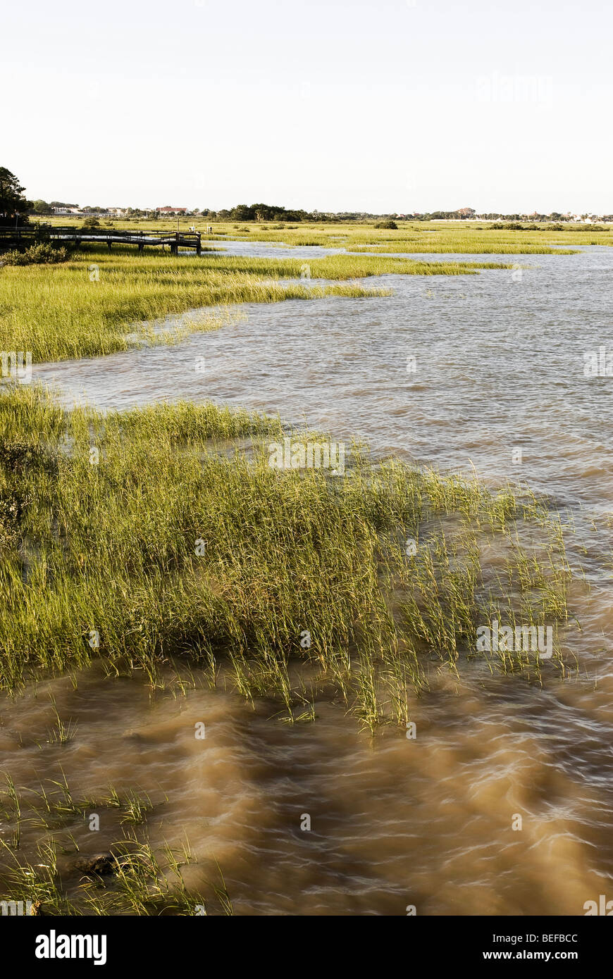 Salt Marsh Scenic High Resolution Stock Photography and Images - Alamy