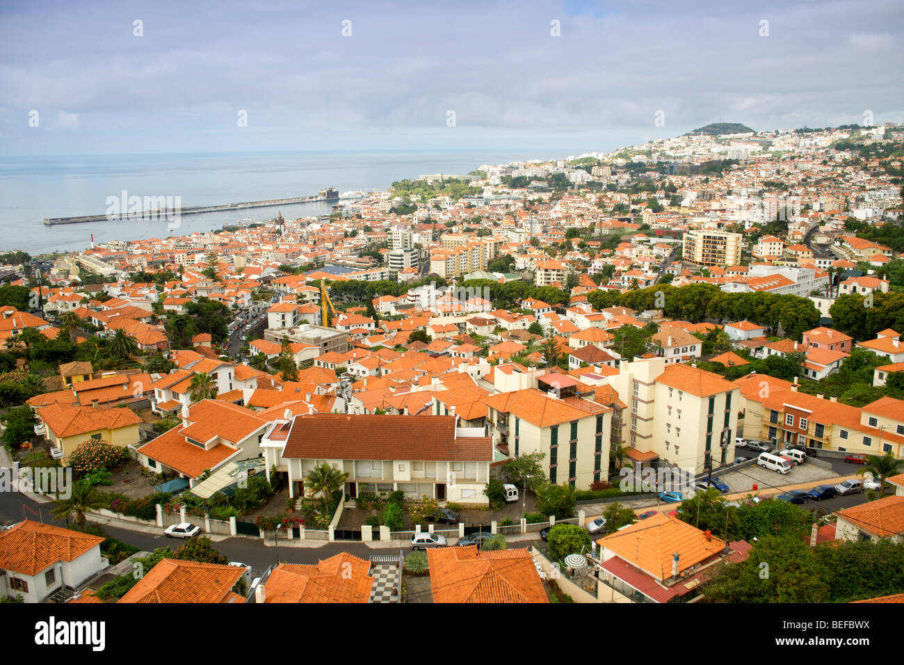 View over the terracotta rooftops of Funchal in Madeira Stock Photo - Alamy