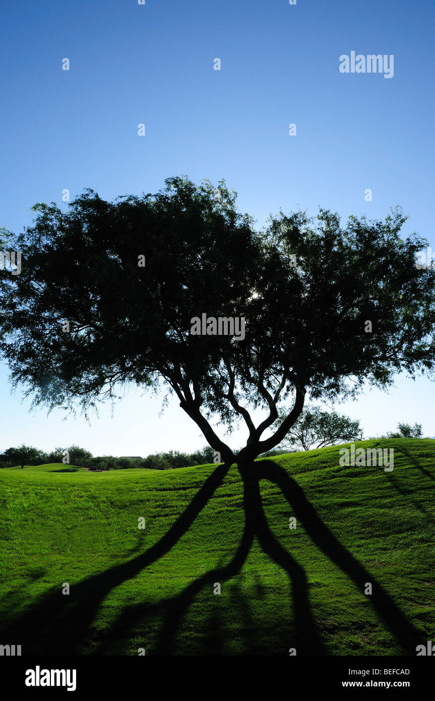 Shadow creek golf course hi-res stock photography and images - Alamy