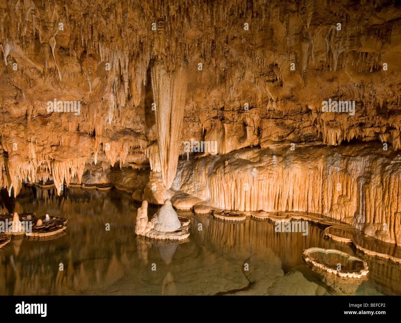 Lily pads and other speleothem in Lily Pad Room, Onondaga Cave State ...
