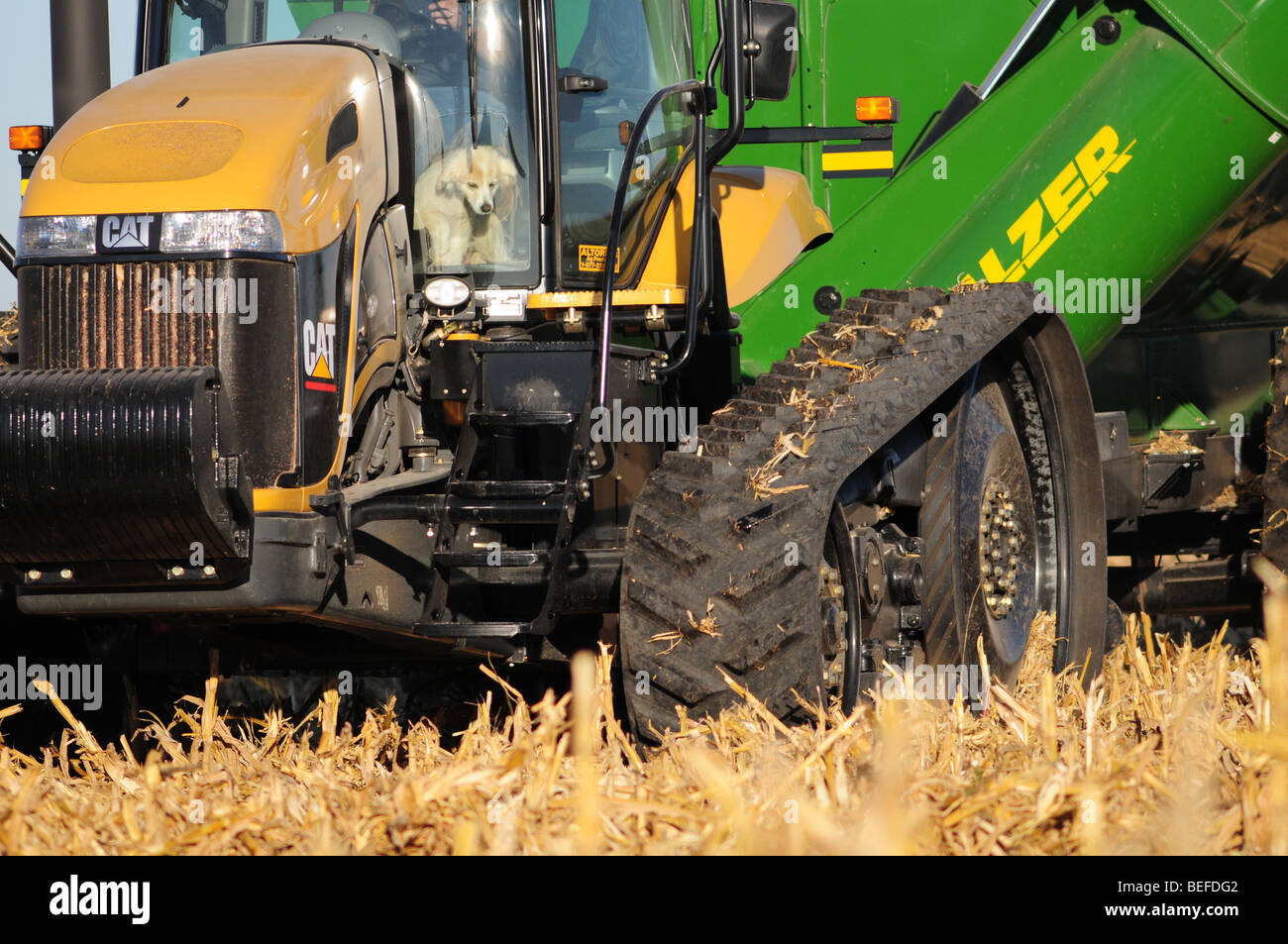 A Caterpillar or Cat Challenger track-style farm tractor pulls a grain ...