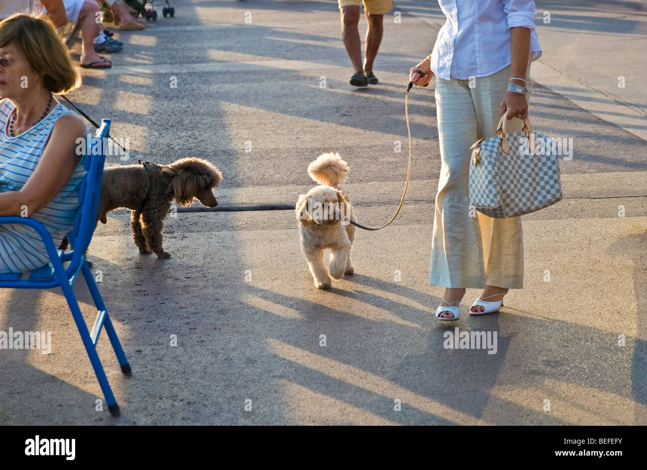 Cannes, France promenade, women with their pet dogs Stock Photo - Alamy