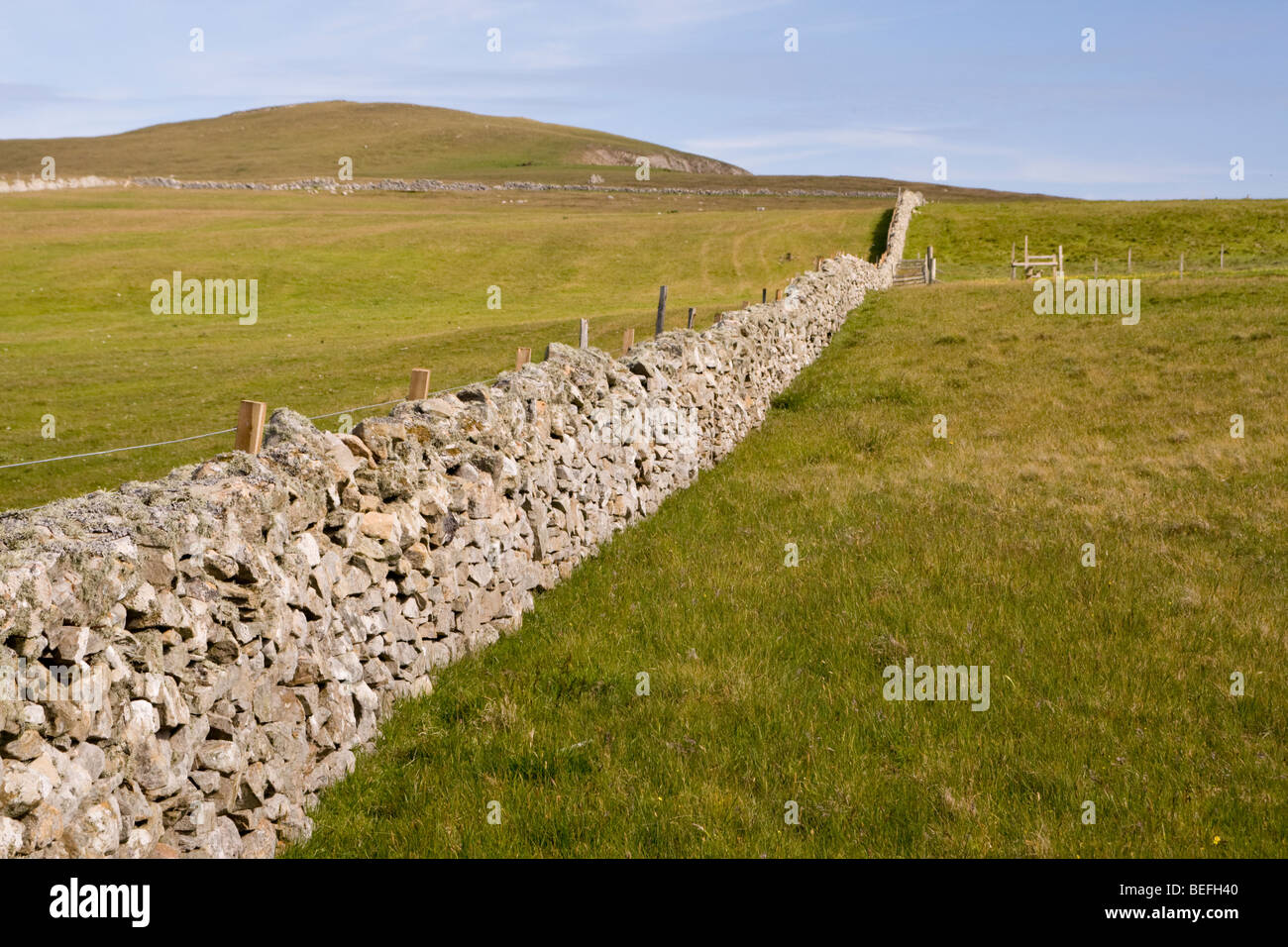 Dry stone wall on Fair Isle Shetland Stock Photo - Alamy