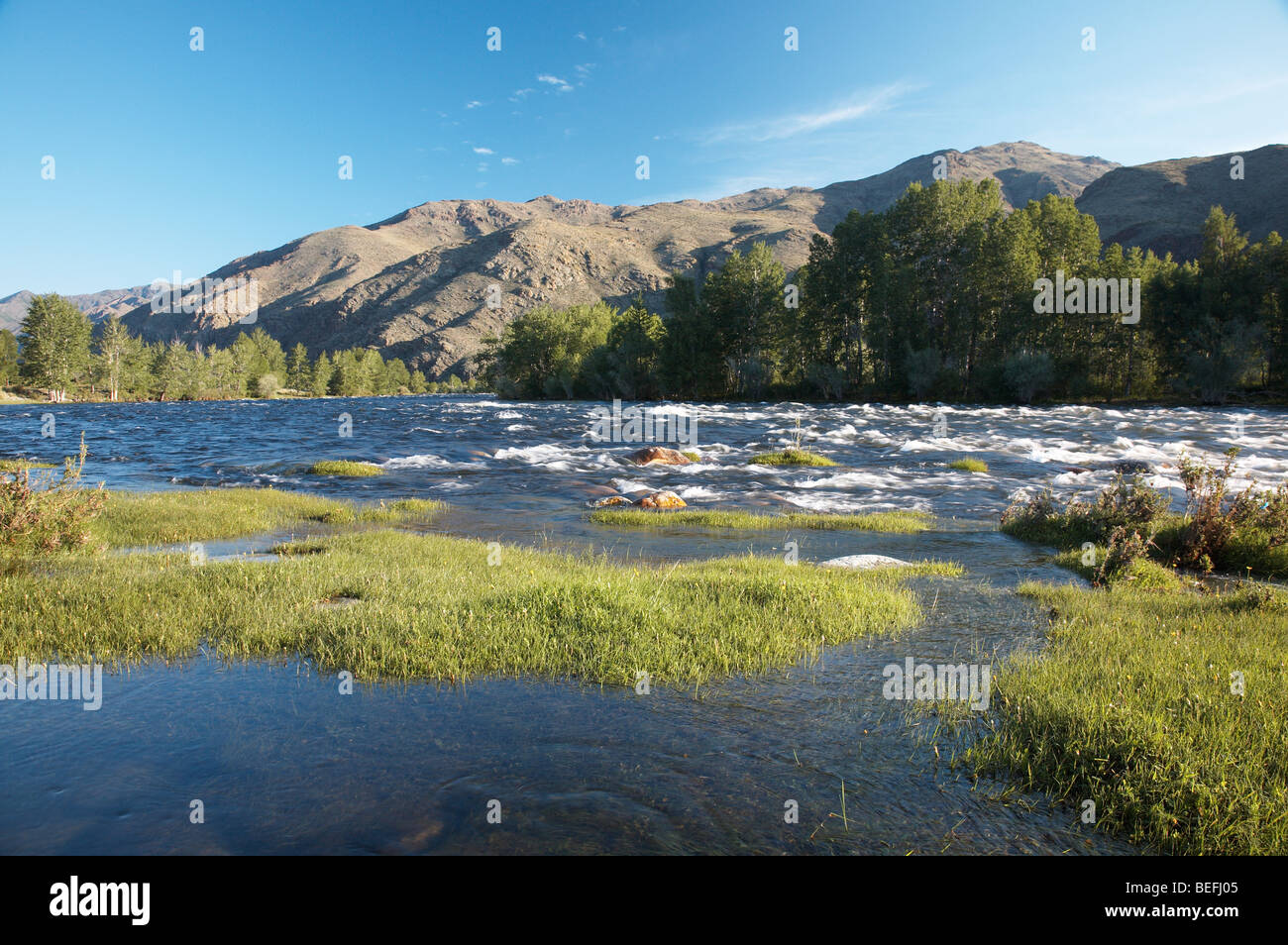 Siberian river Alash Stock Photo - Alamy