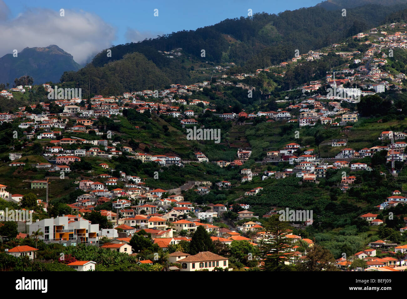 small crowded village in Madeira Island, Portugal Stock Photo - Alamy