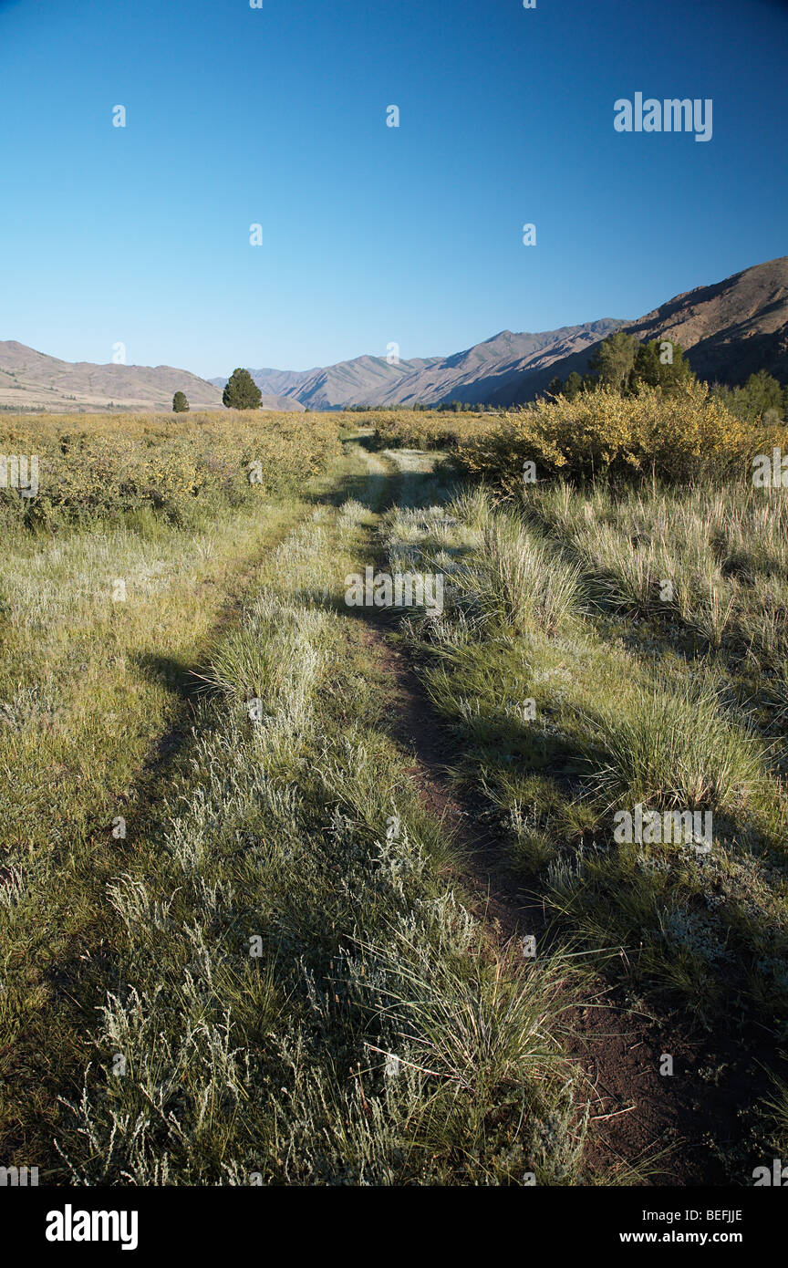 Siberia. West Sayan Mountains Stock Photo - Alamy