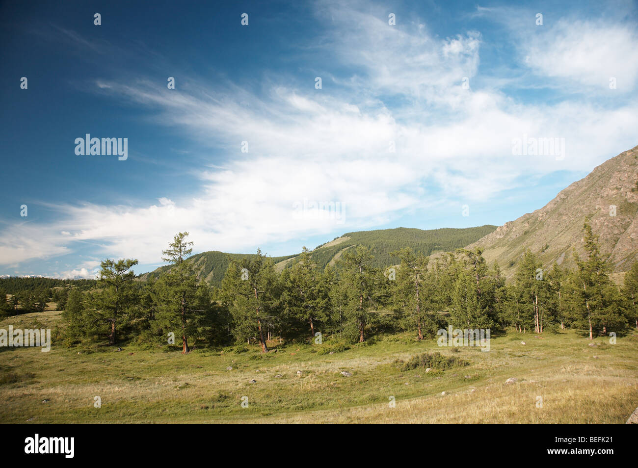Siberia. West Sayan Mountains Stock Photo - Alamy
