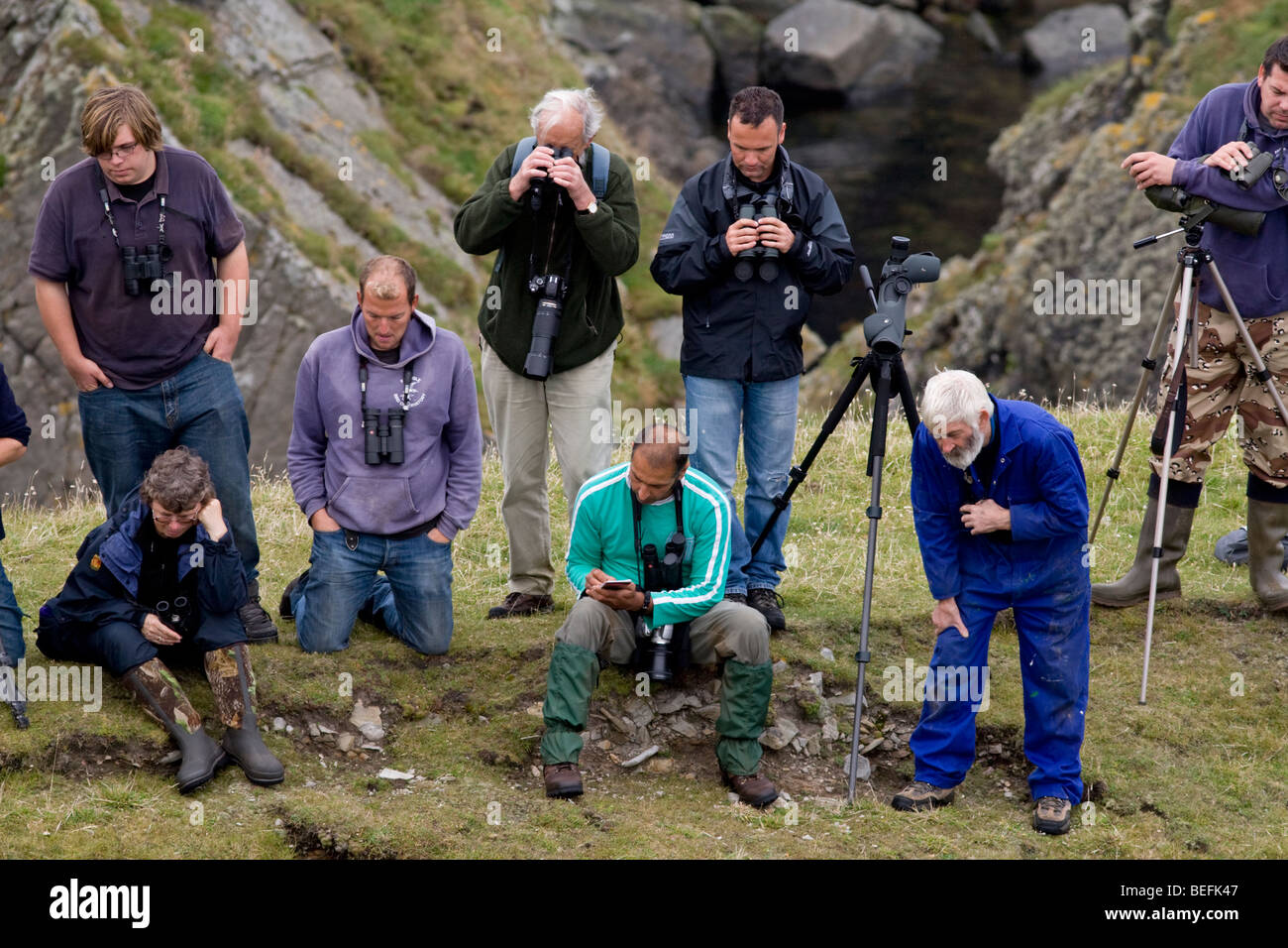 Twitchers bird hi-res stock photography and images - Alamy
