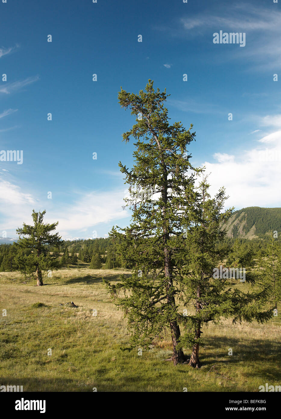 Siberia. West Sayan Mountains Stock Photo - Alamy