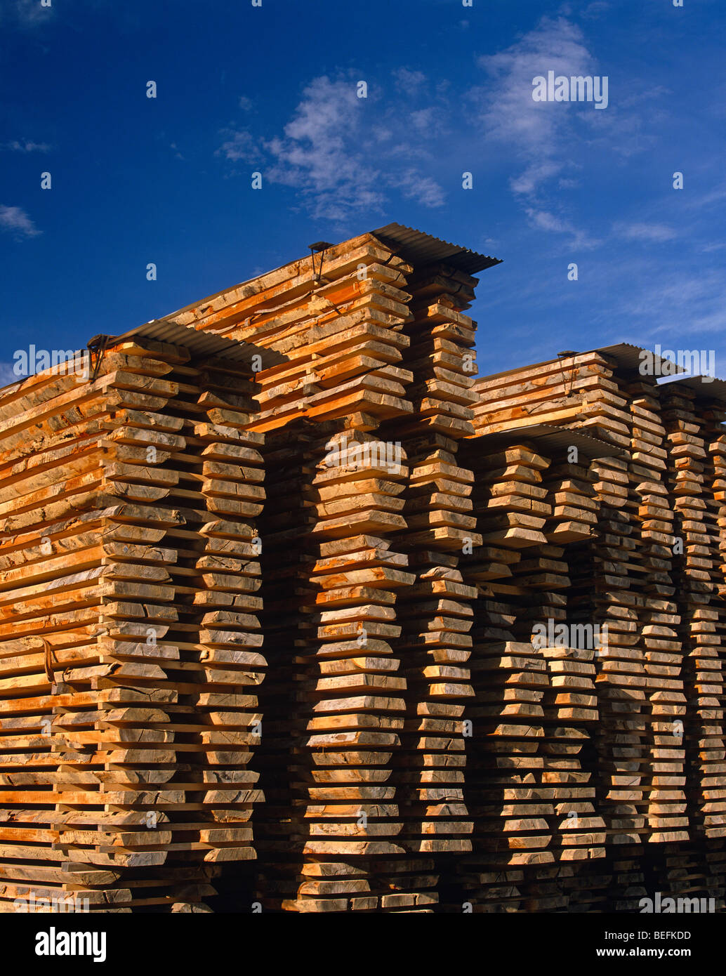 Piles of planks of wood Stock Photo - Alamy