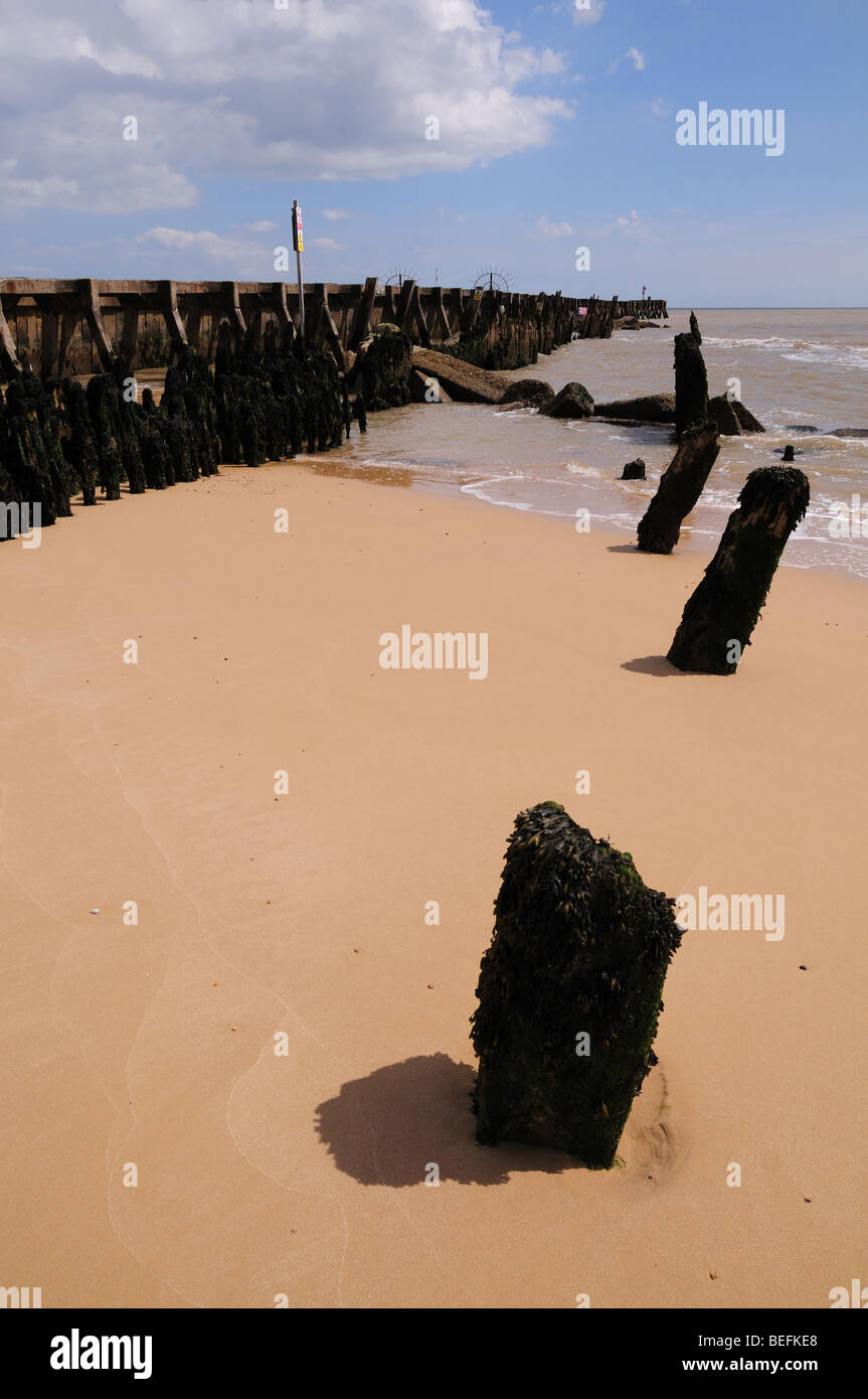 Rotting Old Pier Legs and new concrete wall Stock Photo - Alamy
