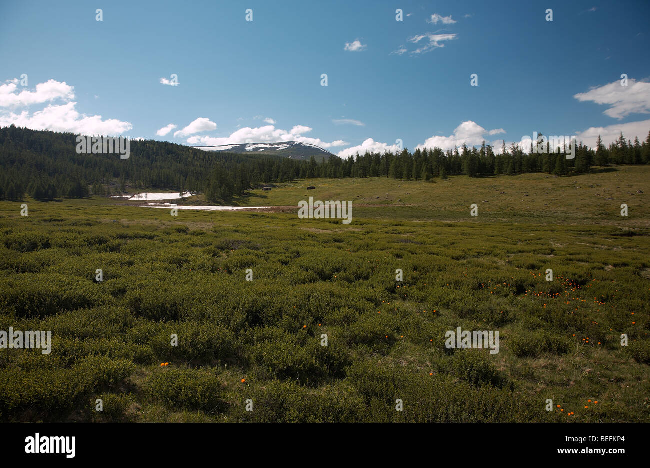 Siberia. West Sayan Mountains Stock Photo - Alamy