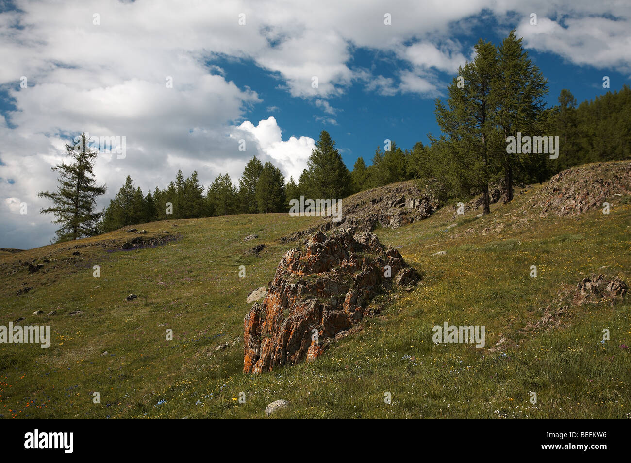 West sayan hi-res stock photography and images - Alamy