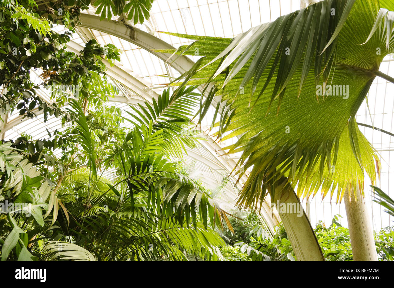 Inside the palm house at royal botanic gardens hi-res stock photography ...