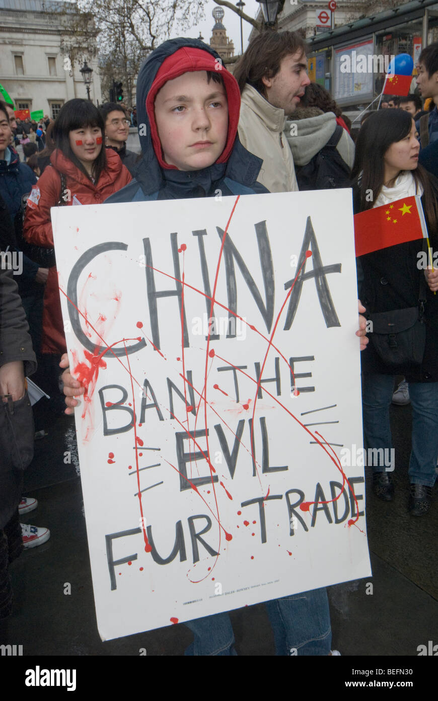 Ban the fur trade hi-res stock photography and images - Alamy